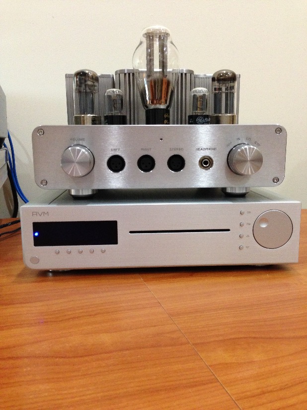 Woo WA 22 Balanced Headphone Amplifier For Sale - US Audio Mart