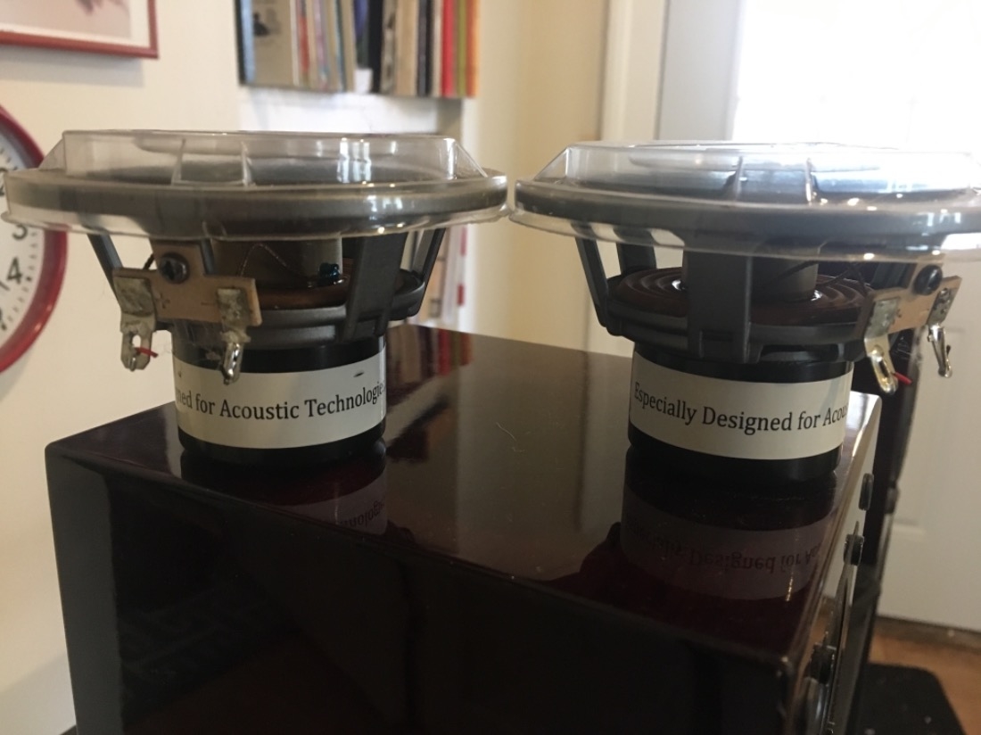 Acoustic Technologies Classic single driver Titanium speakers. Low ...