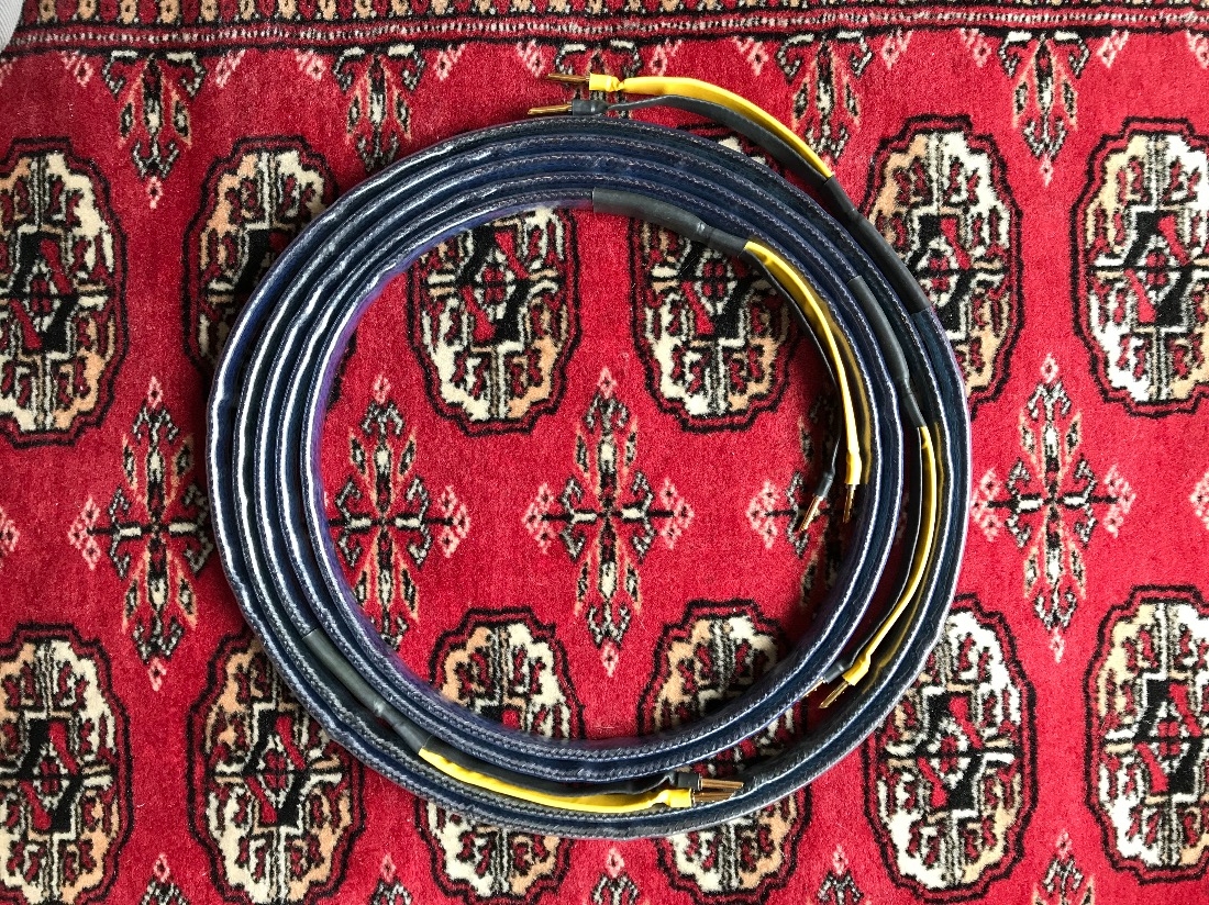 Analysis Plus Inc. Black Mesh Oval 9 For Sale - US Audio Mart