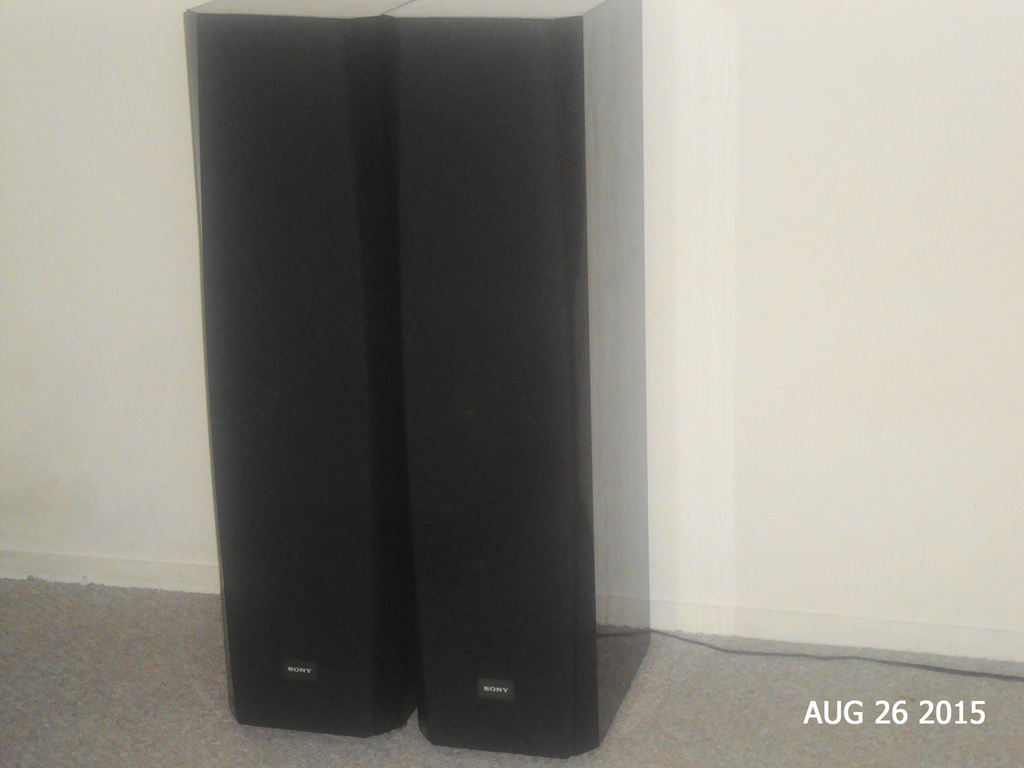 Sony SS-NA2ES Audiophile Full range speakers For Sale - US Audio Mart