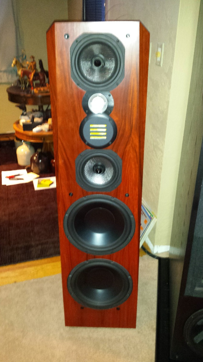 Legacy Focus SE in Rosewood For Sale - US Audio Mart