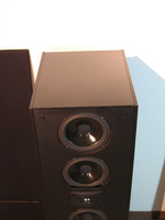 Polk Audio RTA 15 TL For Sale - US Audio Mart
