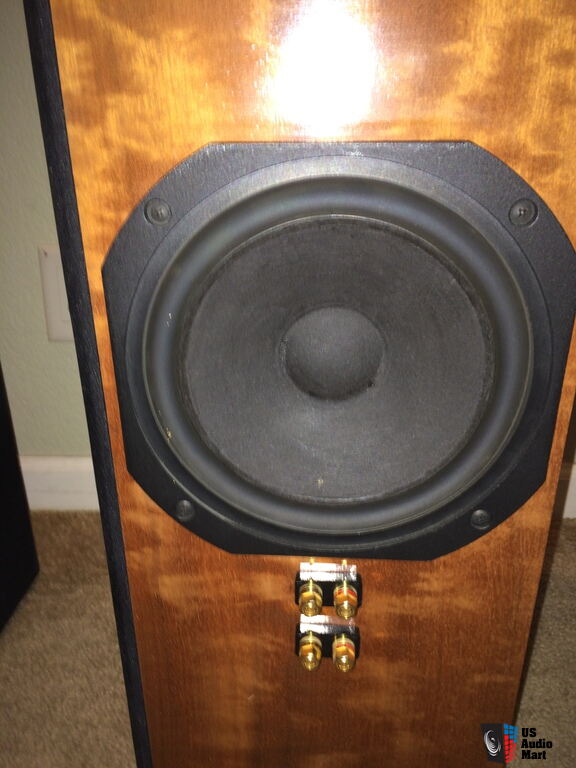 UNITY AUDIO Interactive Speakers Photo #1003221 - US Audio Mart