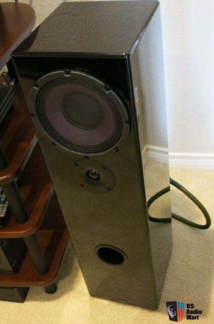 Tekton Designs M-Lore Mini Lore Piano Gloss Black Speakers Photo ...