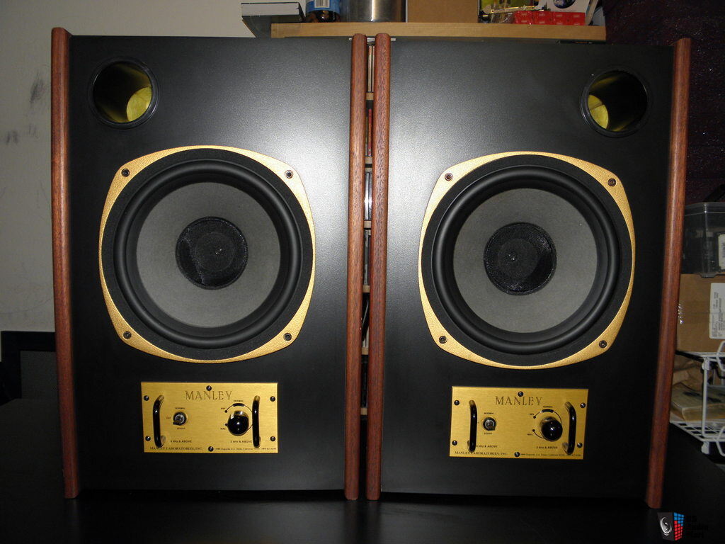 Manley Tannoy ML10 Reference Studio Monitors For Sale - US Audio Mart