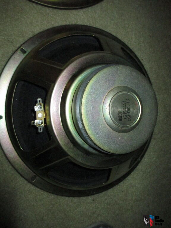 Marantz 211-1003-100 12 inch woofers from Marantz HD770 Photo #1056145 ...