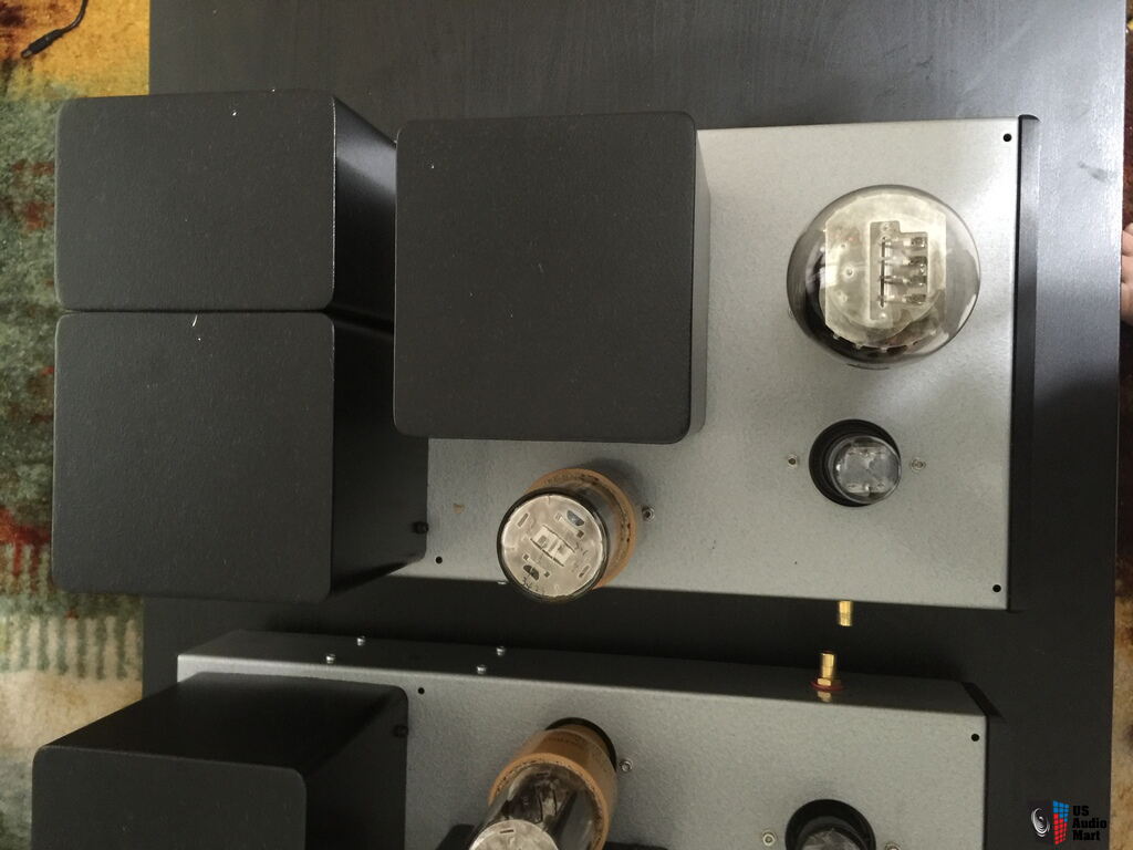 Ladyday Plus/Mk ii 300b monoblock ( Brian chery edition)