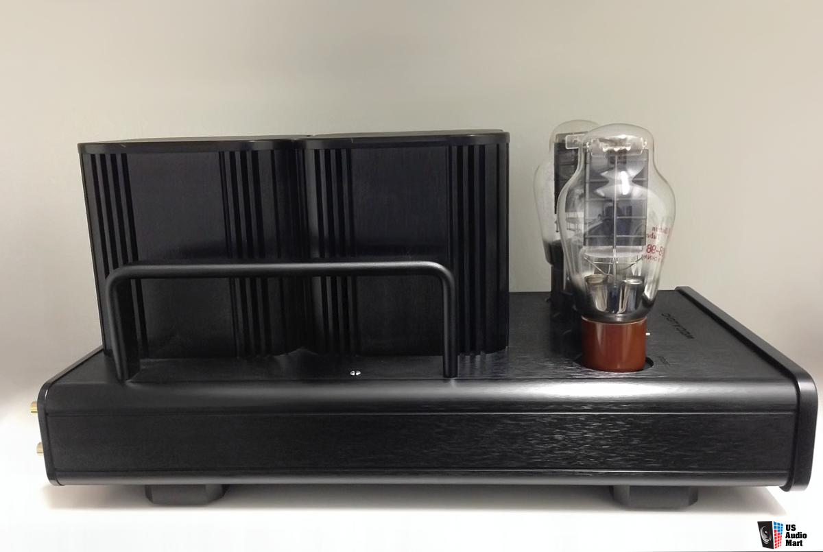 Woo Audio WA5-LE 300B SET Headphone Amplifier With Premium Parts & Fuse ...