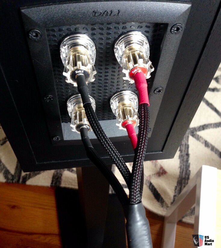 Dali Ikon 2 mkII Photo #1151644 - US Audio Mart