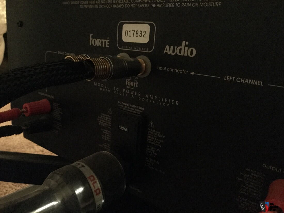 Forte Audio 1a power amplifier pure class A Photo #1166869 - US Audio Mart