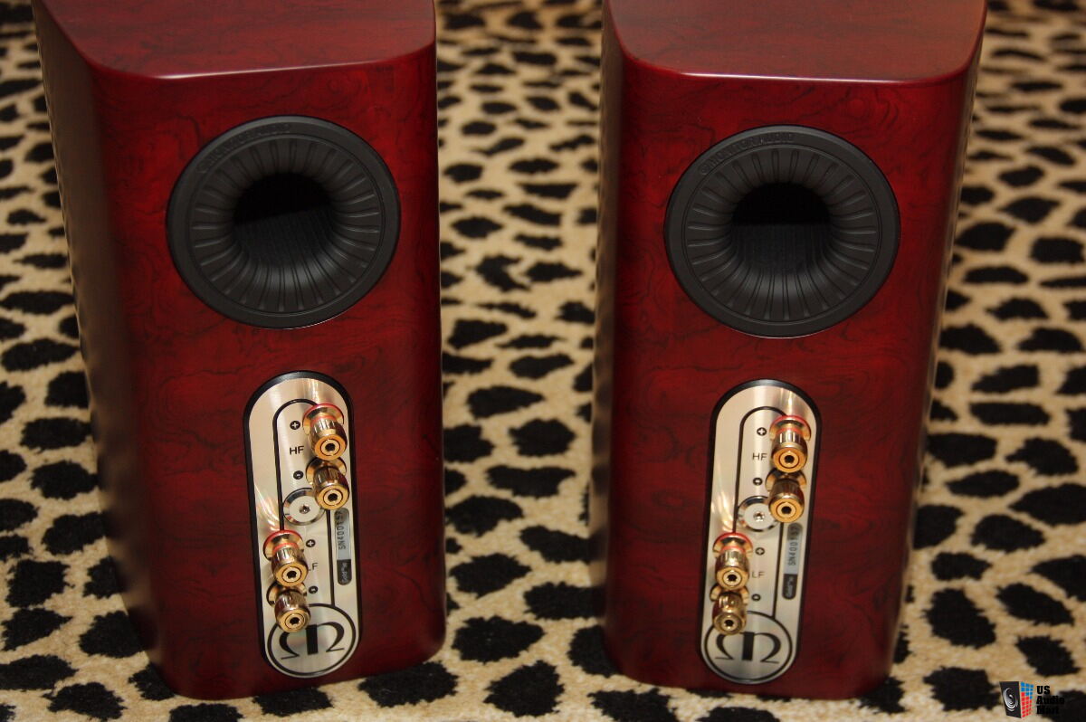 Monitor Audio GX50 Speakers in Beautiful Bubinga Wood Perfect Photo ...