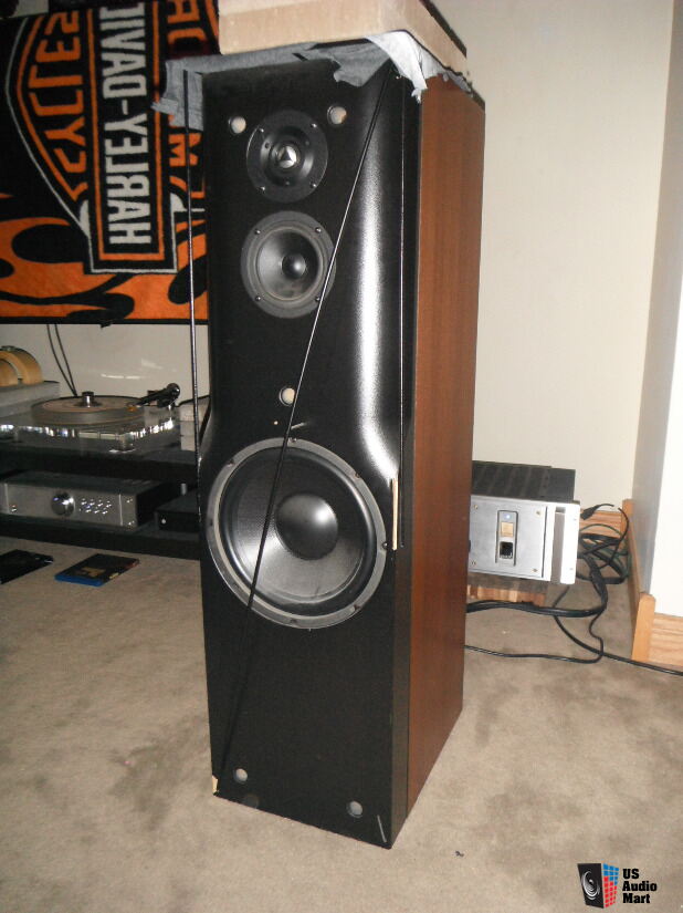 Hales Revelation Three loudspeaker Photo #1258470 - US Audio Mart