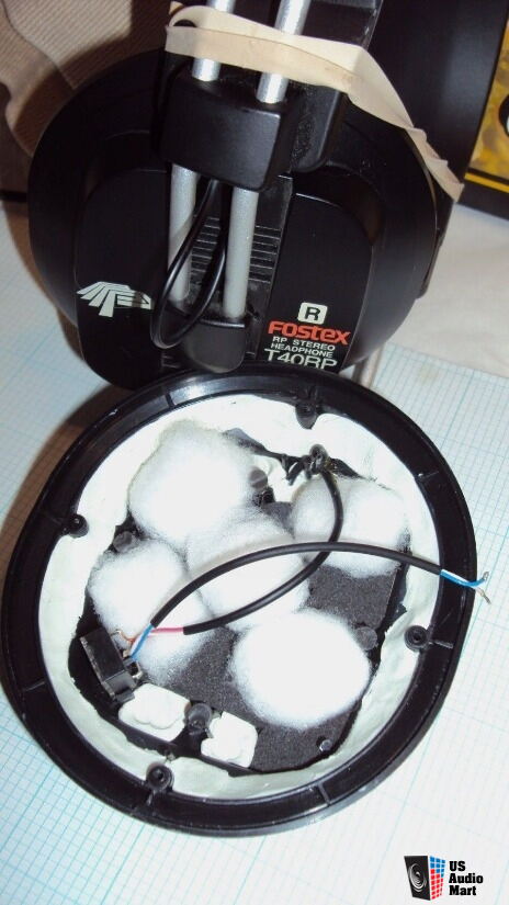 Fully Modified Fostex T40RP Mk II Orthodynamic (Planar-Magnetic ...