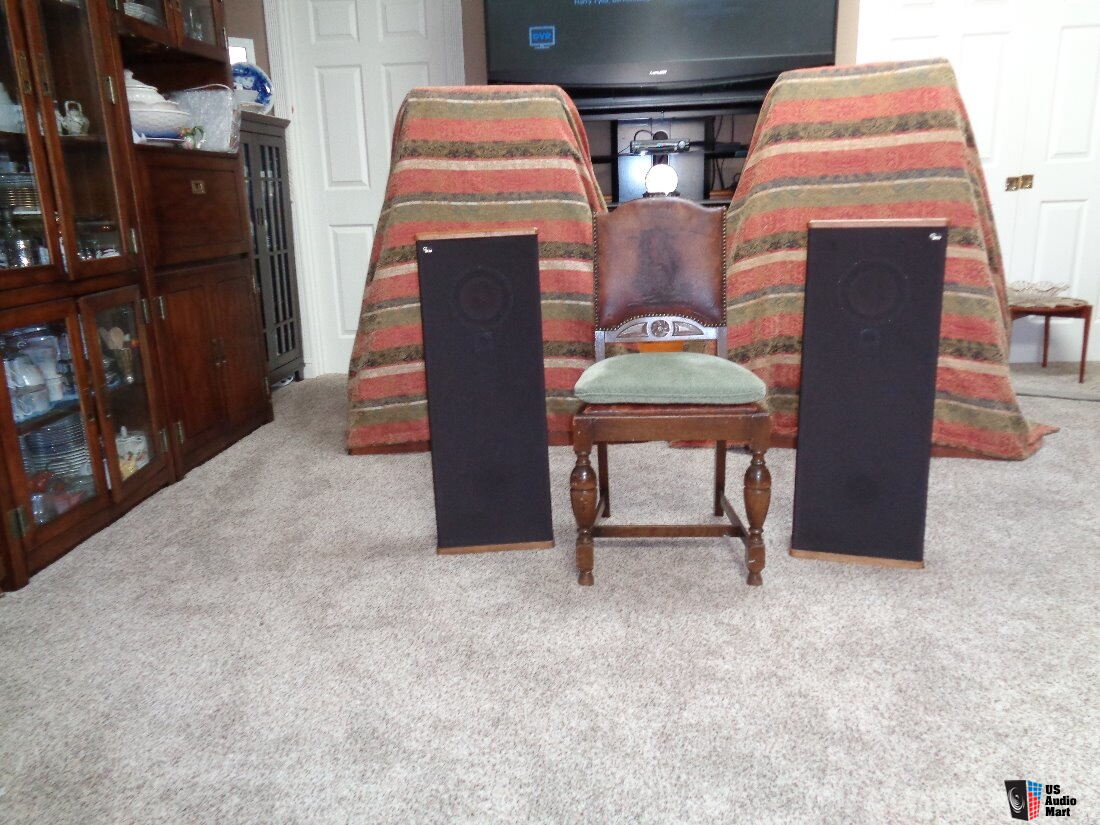 DCM TF-250 Floor Standing Speakers Photo #1271786 - US Audio Mart