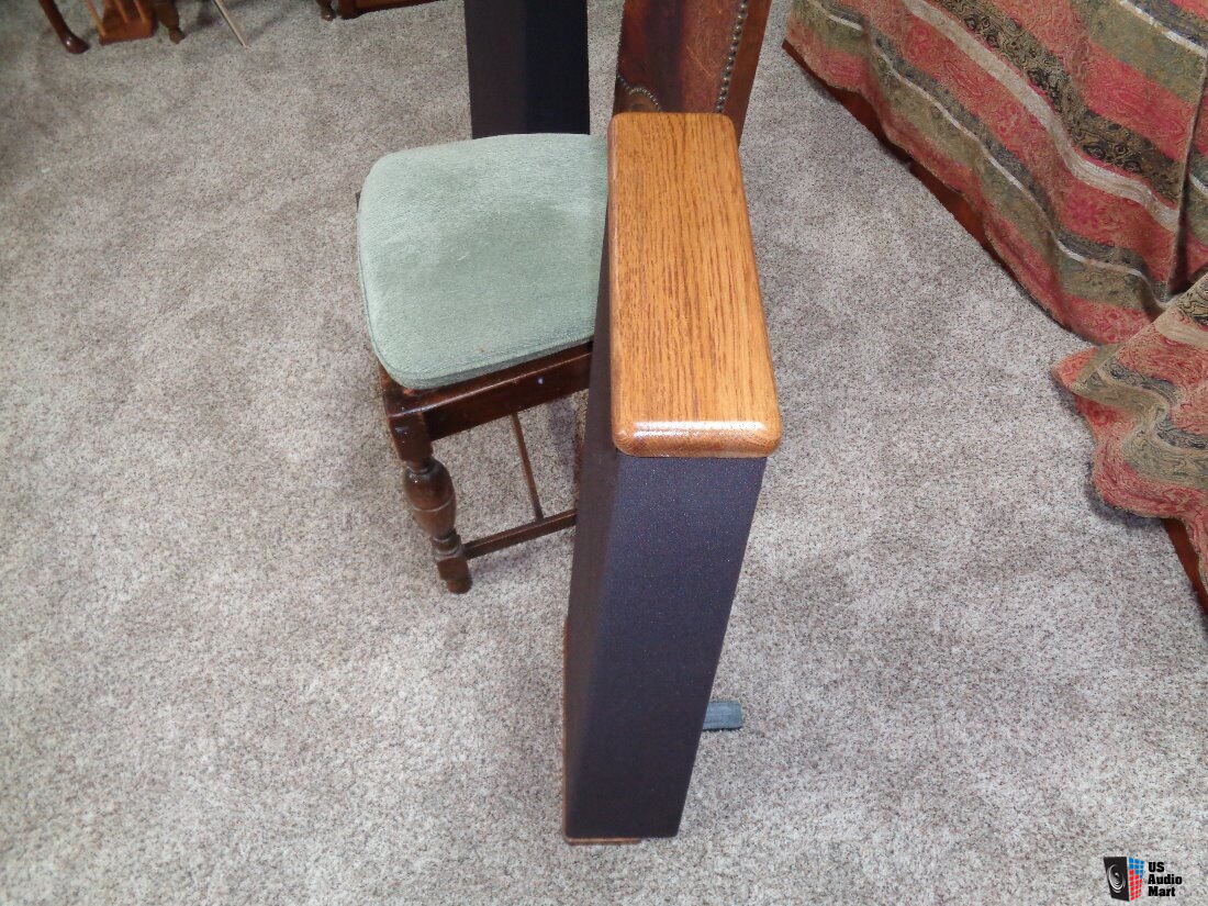 DCM TF-250 Floor Standing Speakers Photo #1271783 - US Audio Mart