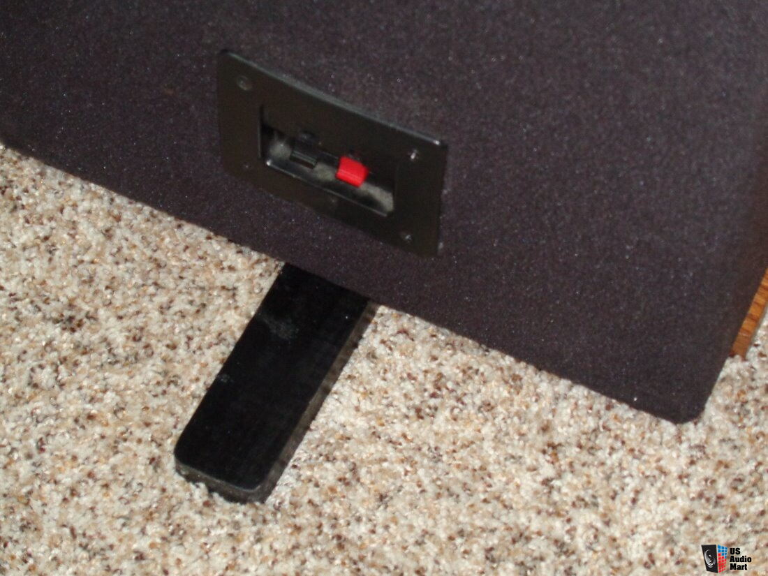 DCM TF-250 Floor Standing Speakers Photo #1271786 - US Audio Mart
