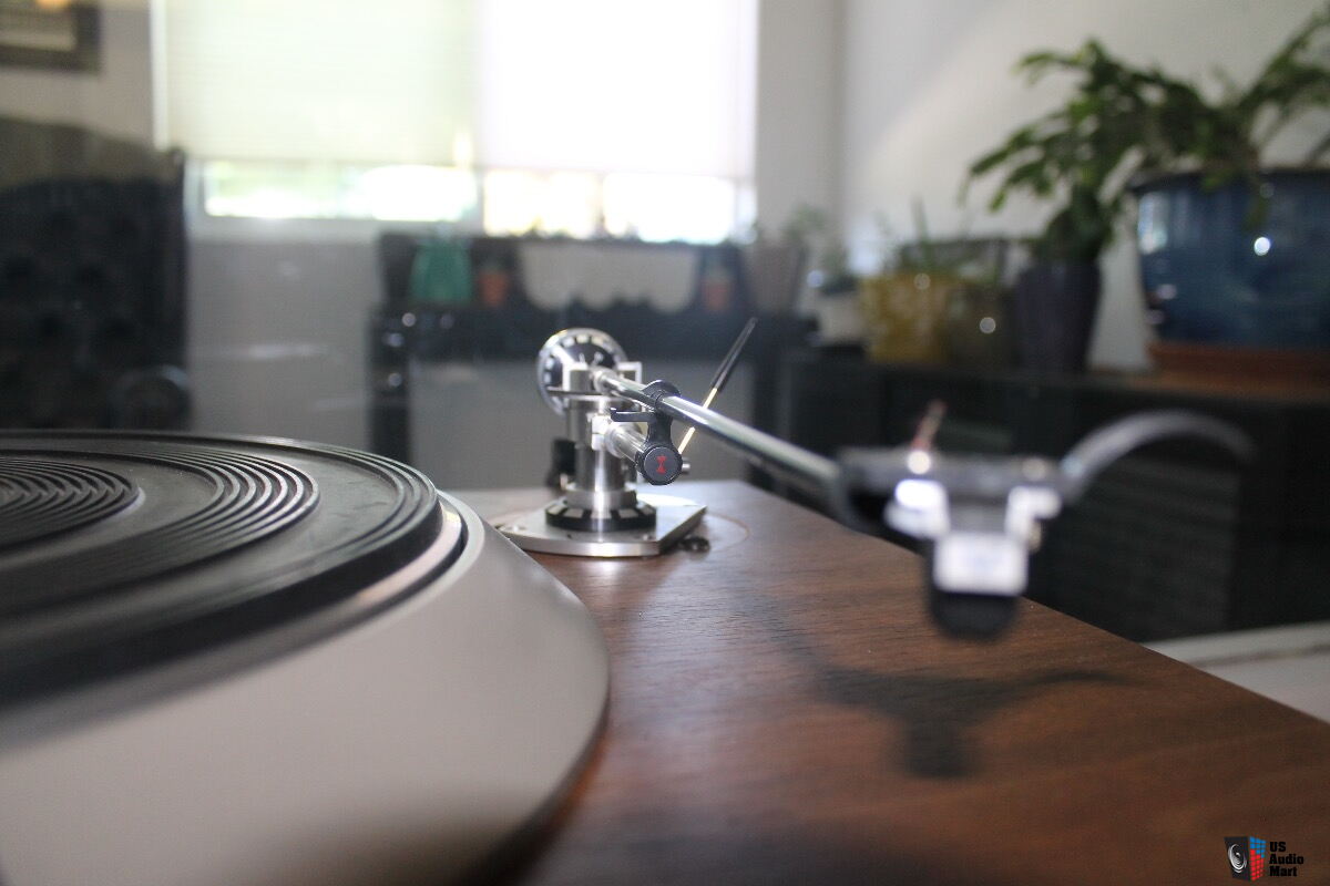 Denon DP-750 w/ Infinity Black Widow Tonearm and Brand New Rega Bias 2 ...