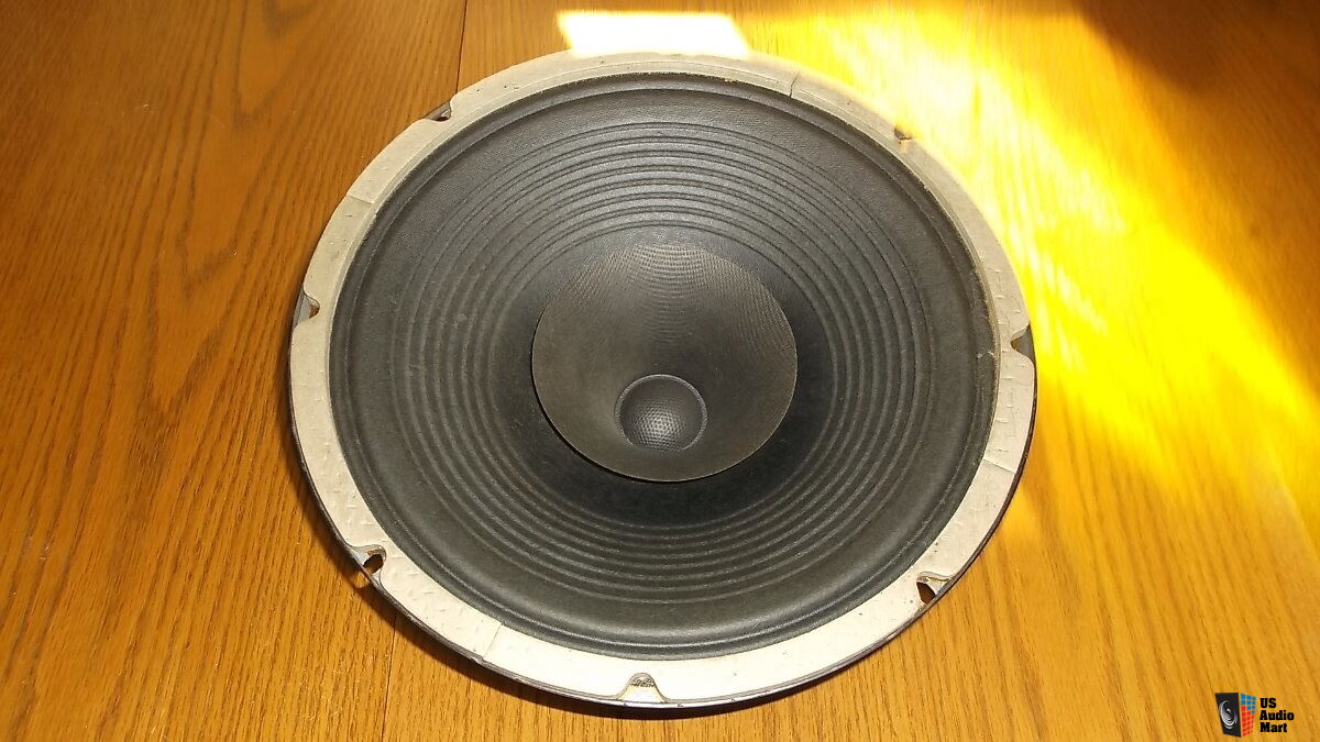 12" Alnico full range speaker Photo #1298454 - US Audio Mart
