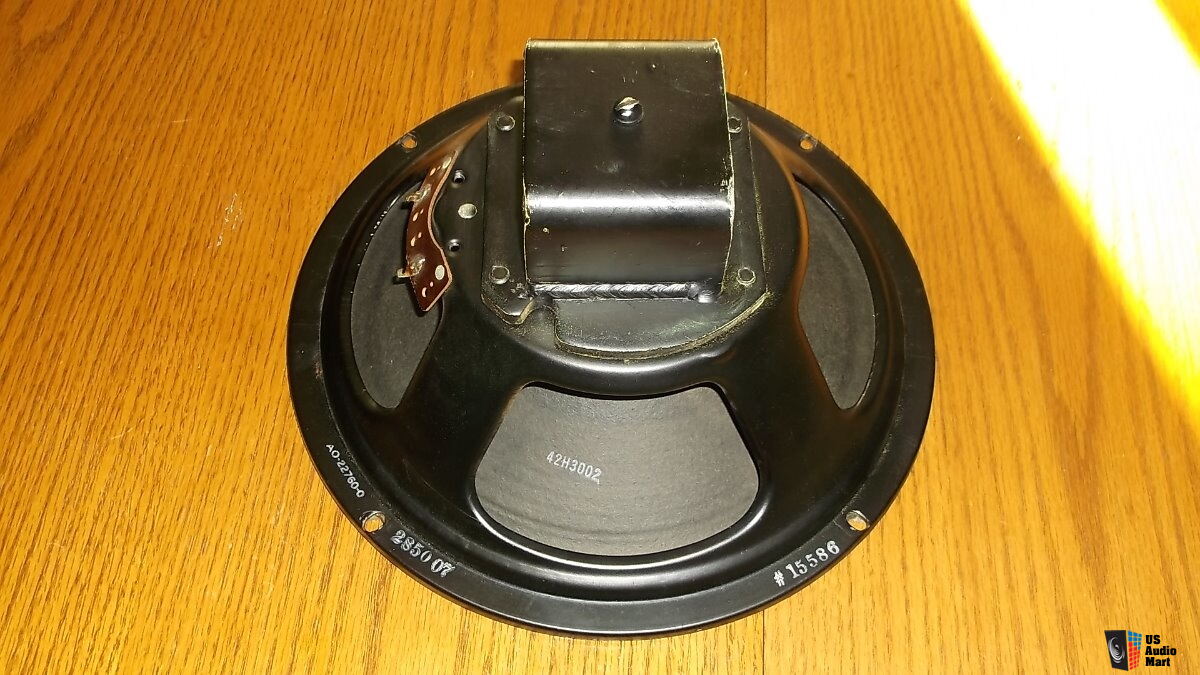 12" Alnico full range speaker Photo #1298454 - US Audio Mart