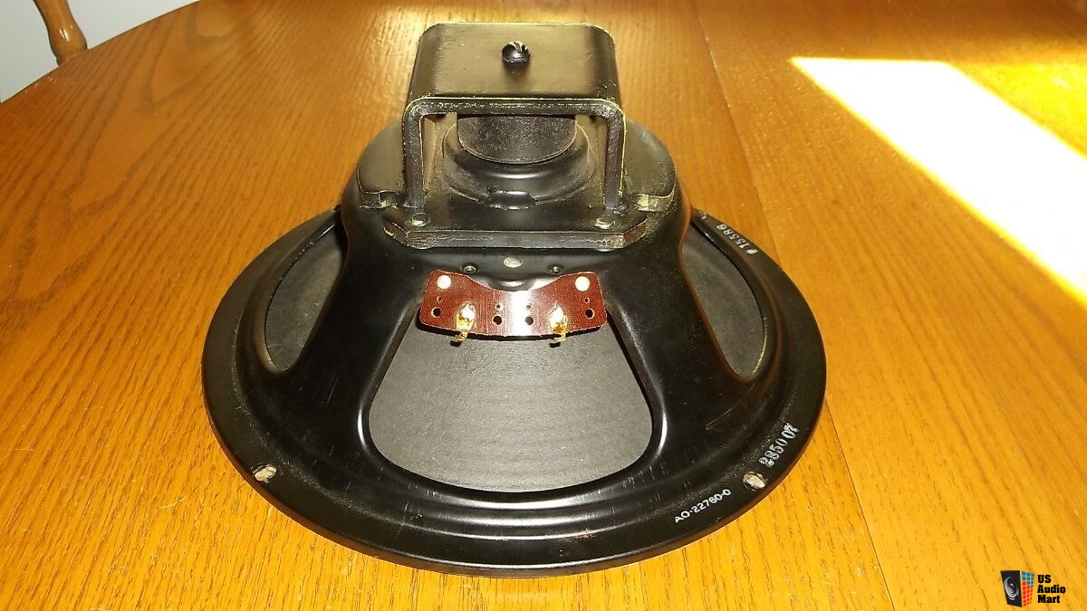 12" Alnico full range speaker Photo #1298454 - US Audio Mart