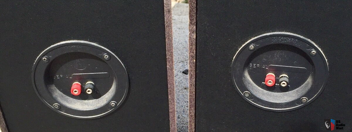 Polk RTA 11t speakers with original boxes Photo #1300576 - US Audio Mart