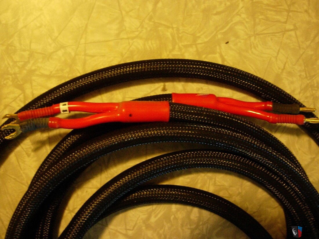 Audioquest Rocket 88 Single Speaker Cable 8ft Bi-Wire 48v DBS Photo ...