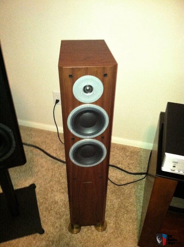 Dynaudio Focus 260's -As New Photo #1306661 - US Audio Mart