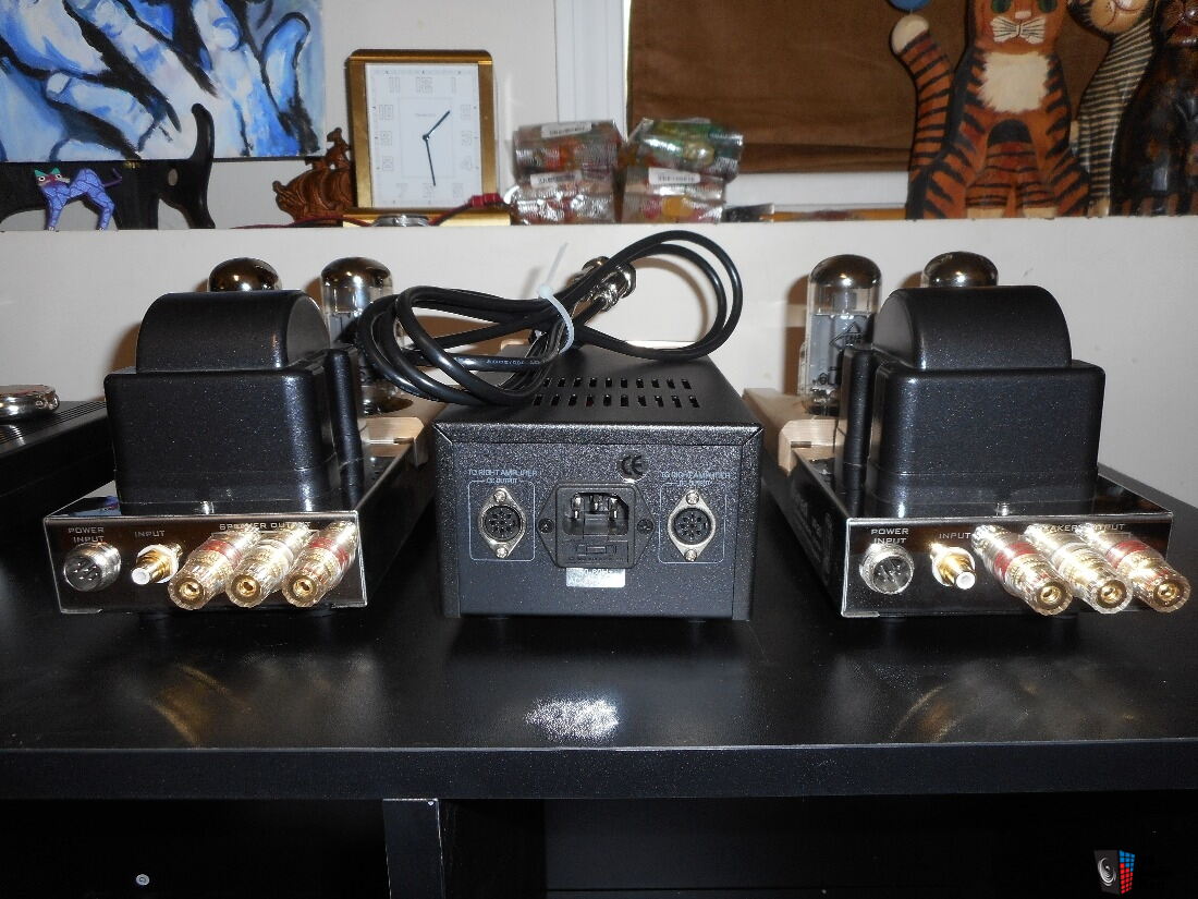 Dared VP-20 'Collection Edition' Valve Mono-Blocks Photo #1307726 - US ...
