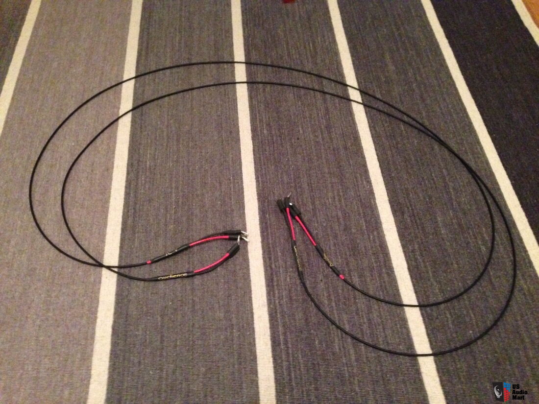 Audience AU24 speaker cables 8ft pair For Sale - US Audio Mart