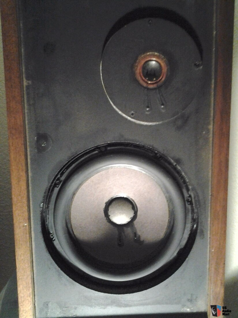 Epicure EPI M100 Speakers - As Is - For Parts or Repair Photo #1380664 ...
