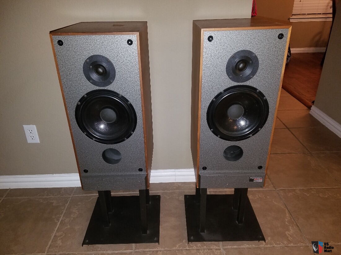 Paradigm Export Monitor Speakers Photo #1385190 - US Audio Mart