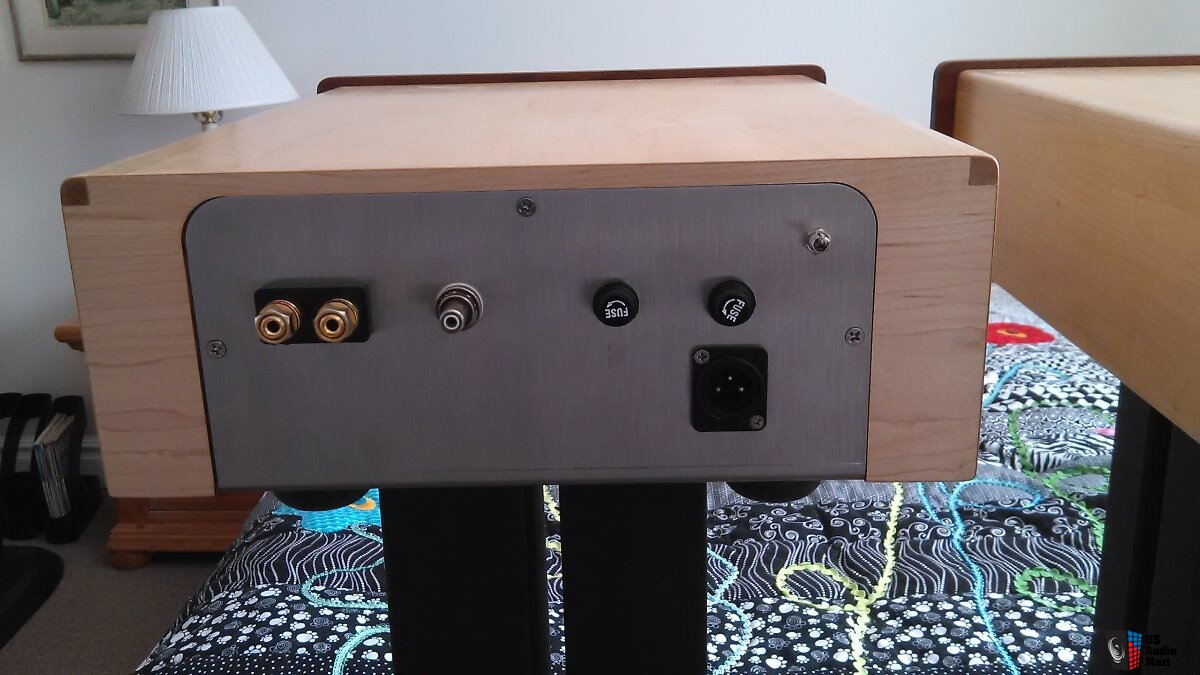 Custom Gainclone Monoblock Amplifiers with Unique Chassis Photo ...
