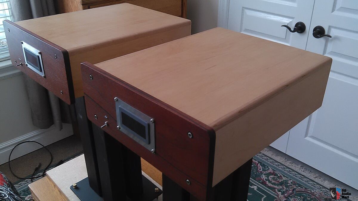Custom Gainclone Monoblock Amplifiers with Unique Chassis Photo ...
