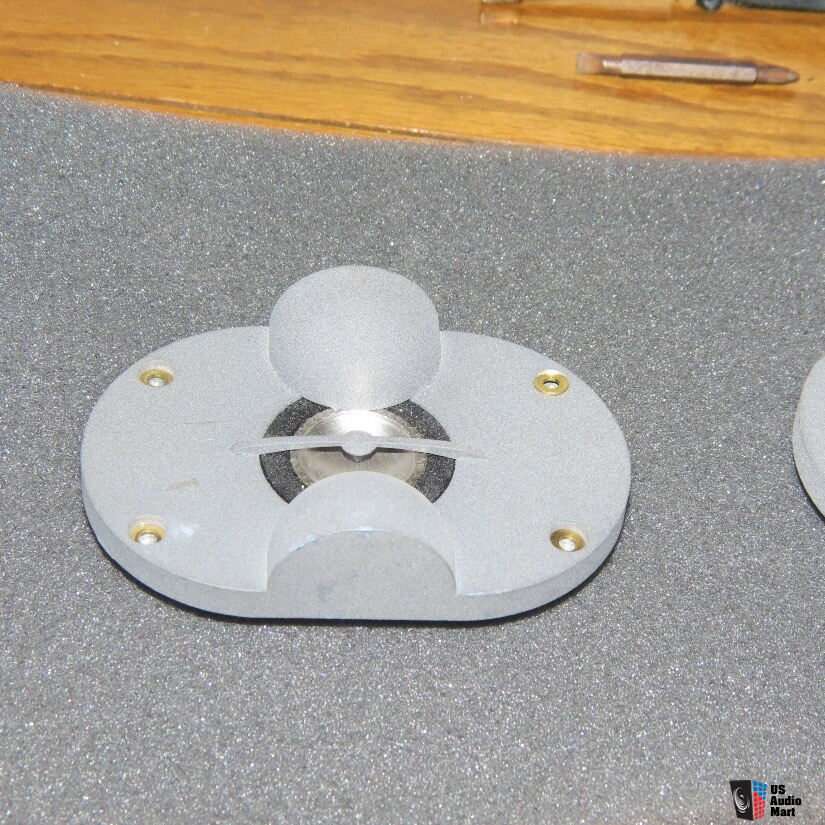 Focal TLR tweeters Photo #1422460 - US Audio Mart