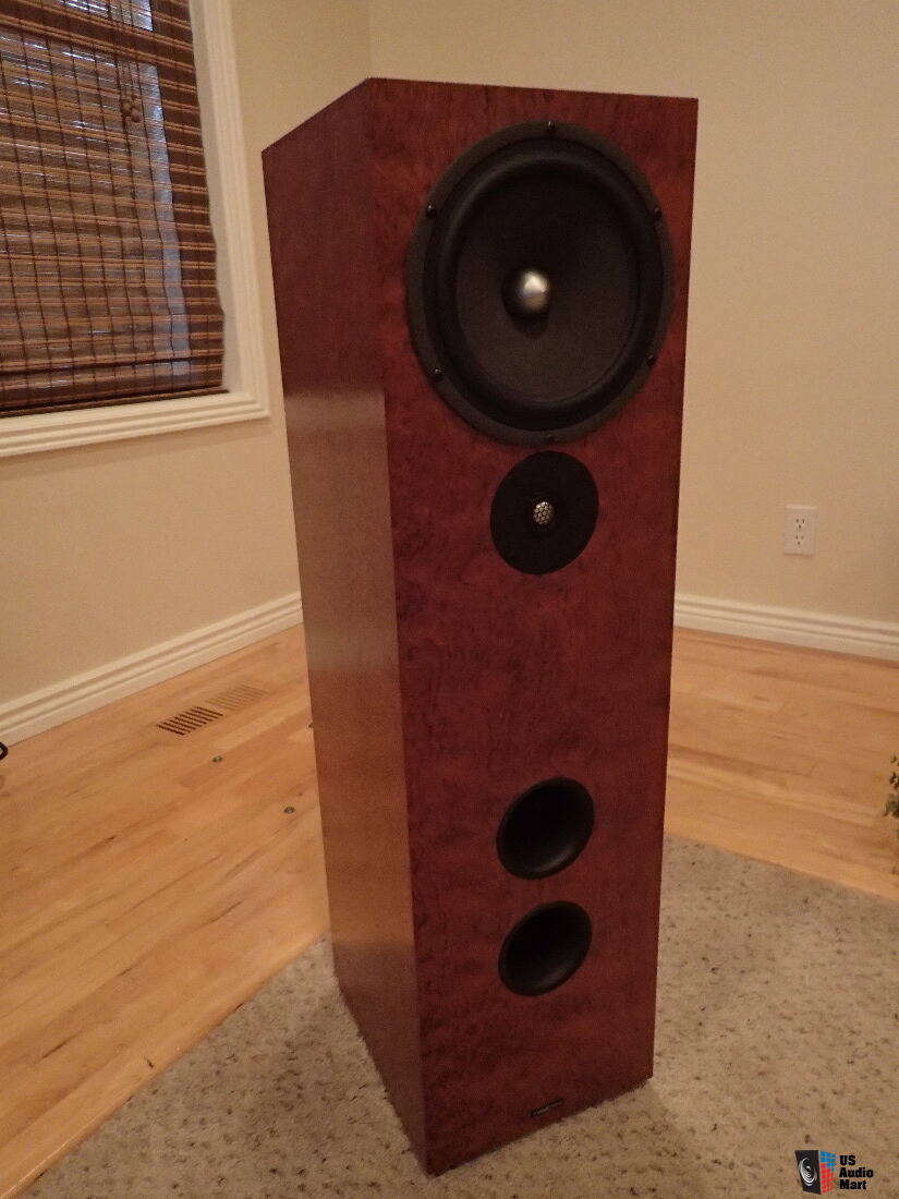 Tekton Lore S in upgraded finish For Sale - US Audio Mart