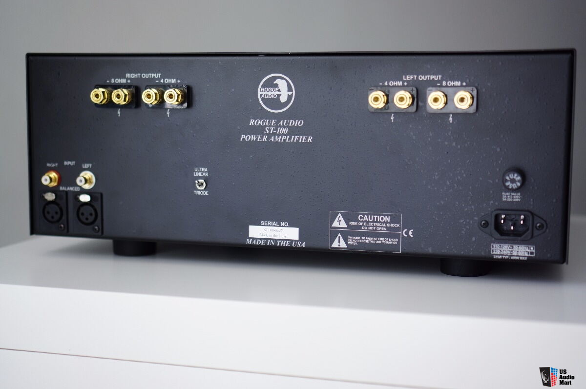 Rogue Audio Stereo 100 (ST-100) Photo #1481241 - US Audio Mart