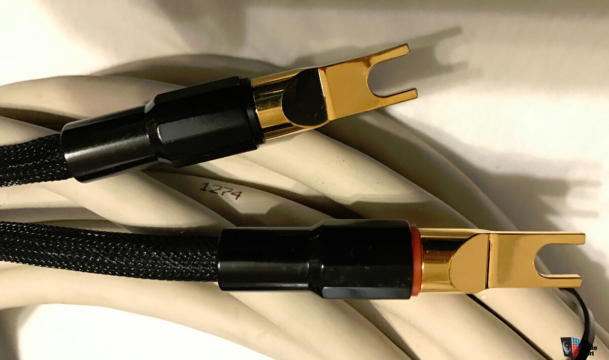 Transparent 'The Brick' Reference XL & 40ft of The Wall Premium Cable ...