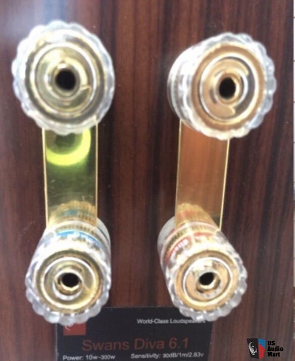 Price reduced! Swan Diva 6.1 speakers & C3 center channel Photo ...