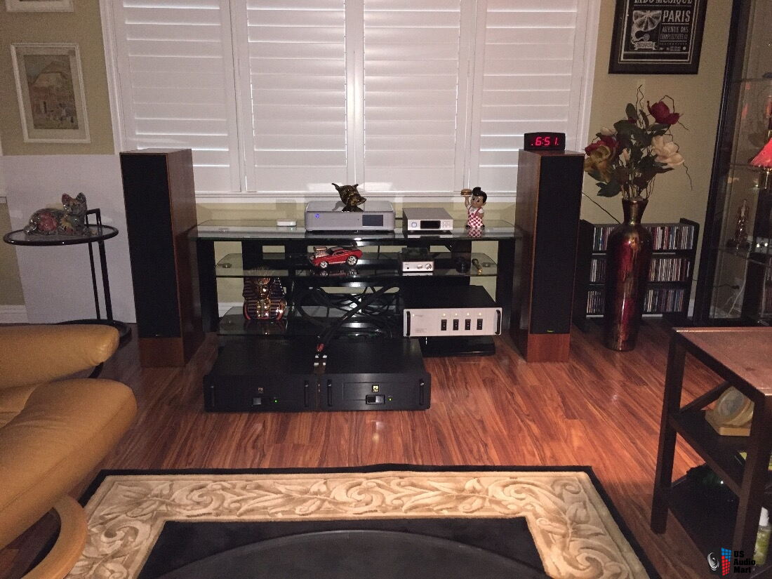 PS Audio Delta 250 Mono Block Sequentially-Numbered Amps MINT Condition ...