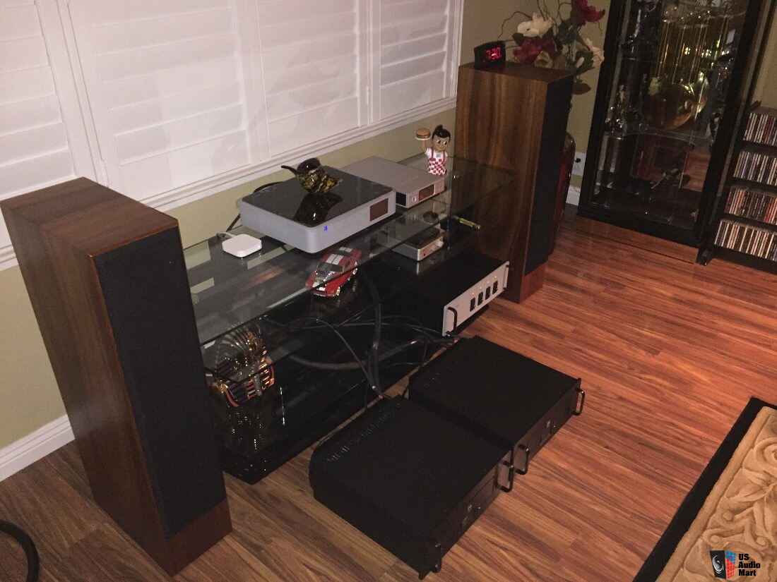 PS Audio Delta 250 Mono Block Sequentially-Numbered Amps MINT Condition ...