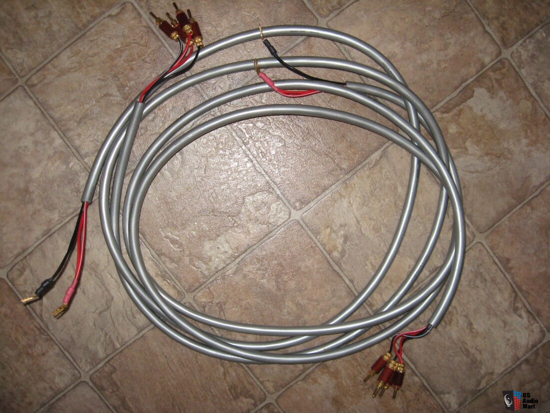 DALI Silver Wave Four Bi-Wire Speaker Cable 8ft.pr Photo #1550503 - US ...