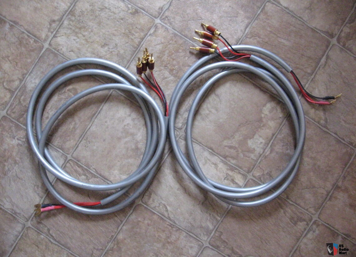 DALI Silver Wave Four Bi-Wire Speaker Cable 8ft.pr Photo #1550502 - UK ...