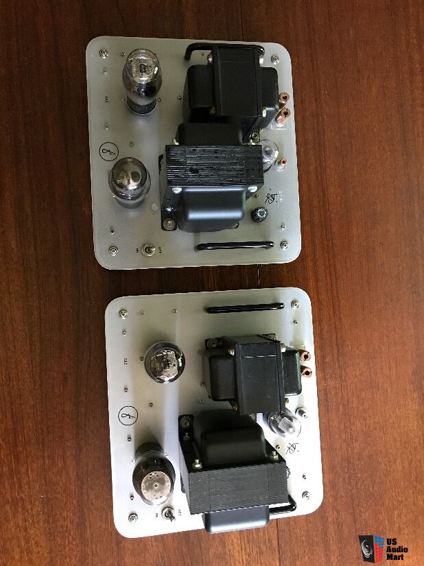 Don Garber Fi 45 Monoblock Amps Photo #1554708 - US Audio Mart