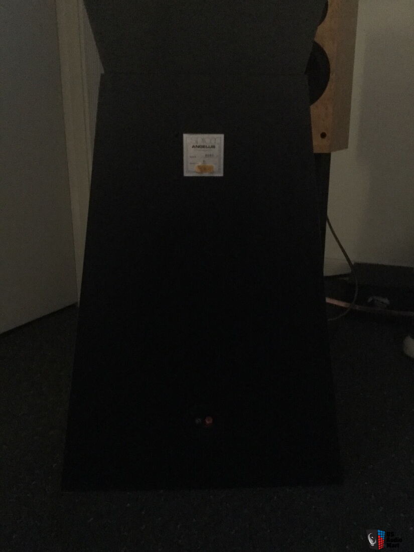 Spica Angelus Speakers Photo #1571635 - UK Audio Mart