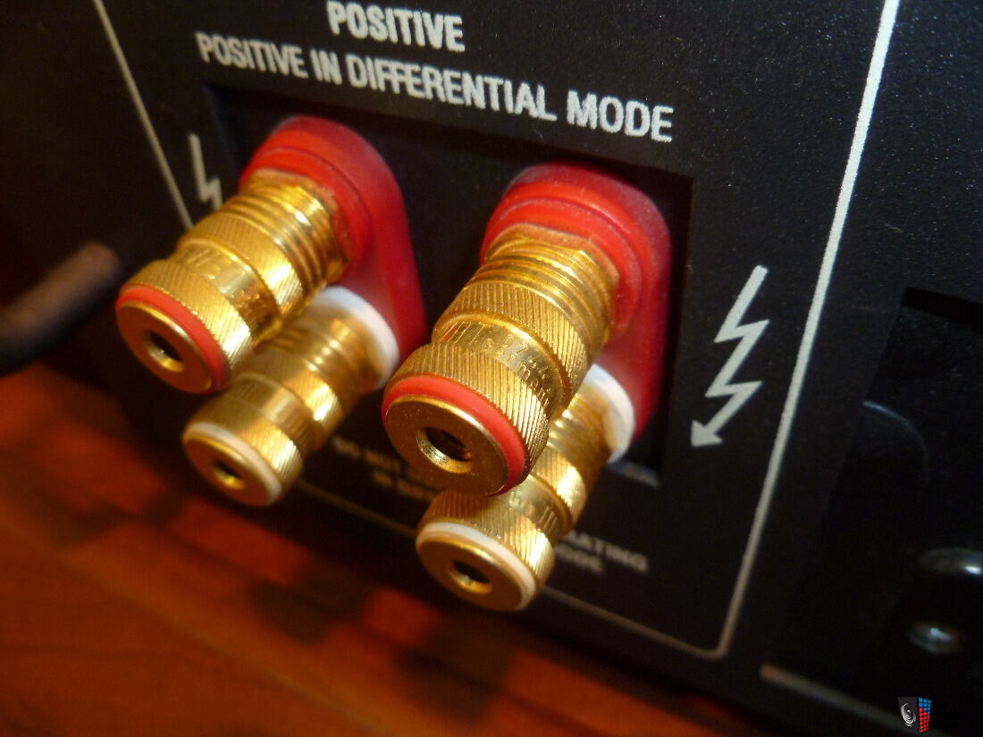 PBN Audio / Sierra Audio Everest fully differential amplifiers. Huge ...