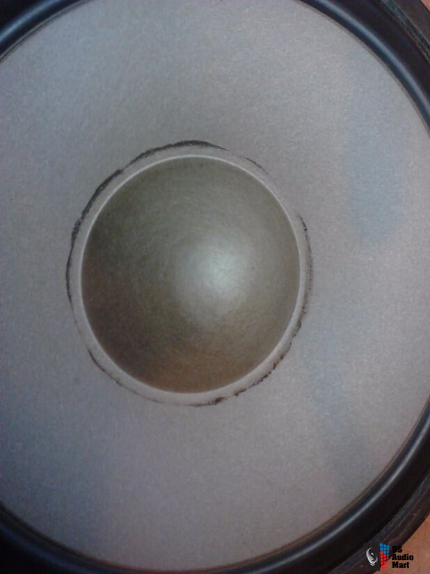 1 pair of SEAS rare and wonderful WK 12 inch alnico magnet woofers! How ...