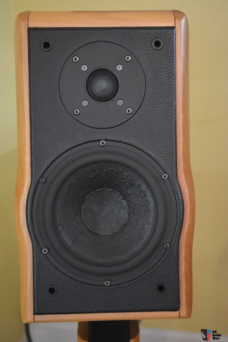 Usher RW729 Monitors with matching stands Photo #1641673 - US Audio Mart