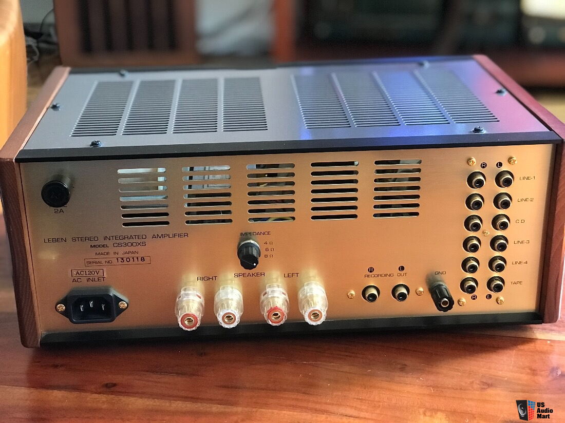 Leben CS300X Integrated Tube Amp with upgrade Photo #1674408 - US Audio ...