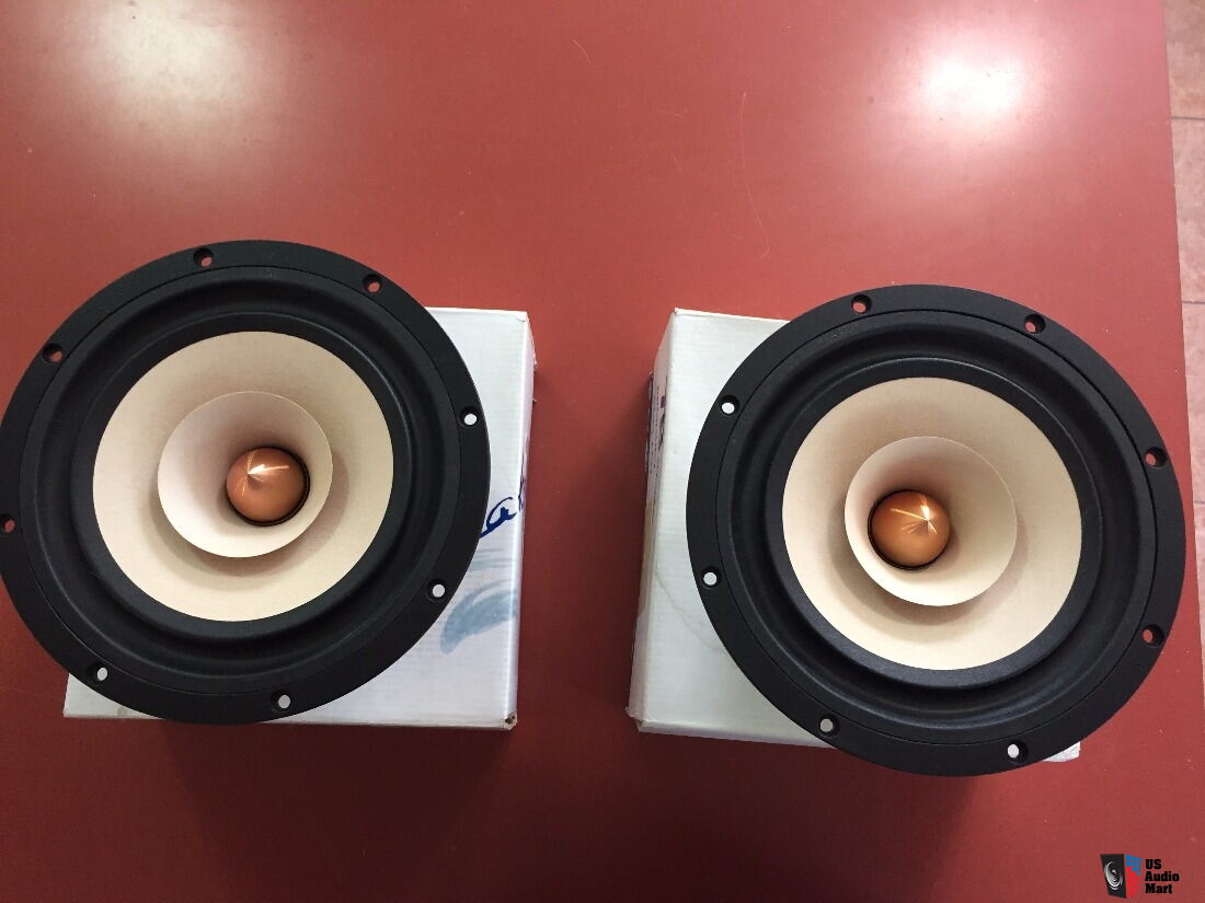 Tang Band W8-1808 8" Neodymium Full Range Drivers Photo #1686649 - US ...