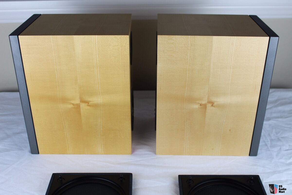 Dynaudio Audience 42 Bookshelf speakers (Bay Area, CA) Photo #1692347 ...